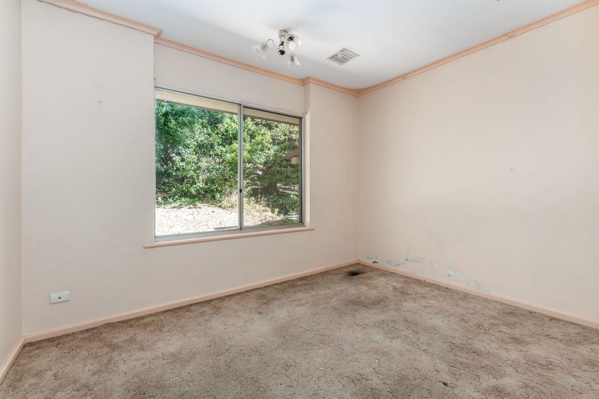 536 Norton Summit Road, Teringie | Fox RE