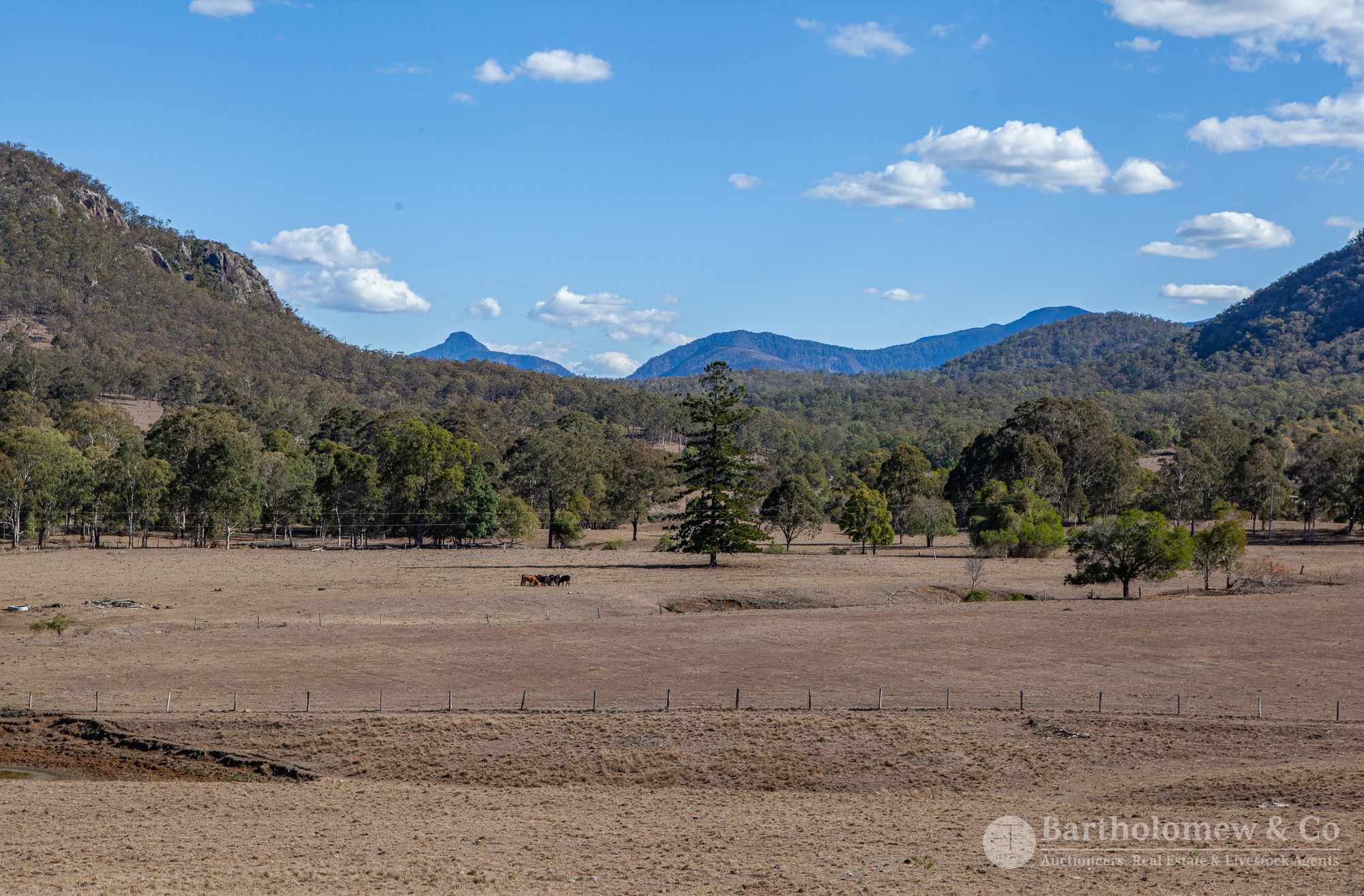 Real Estate For Sale - 342 Dwyer Ridges Road - Mount Alford , QLD