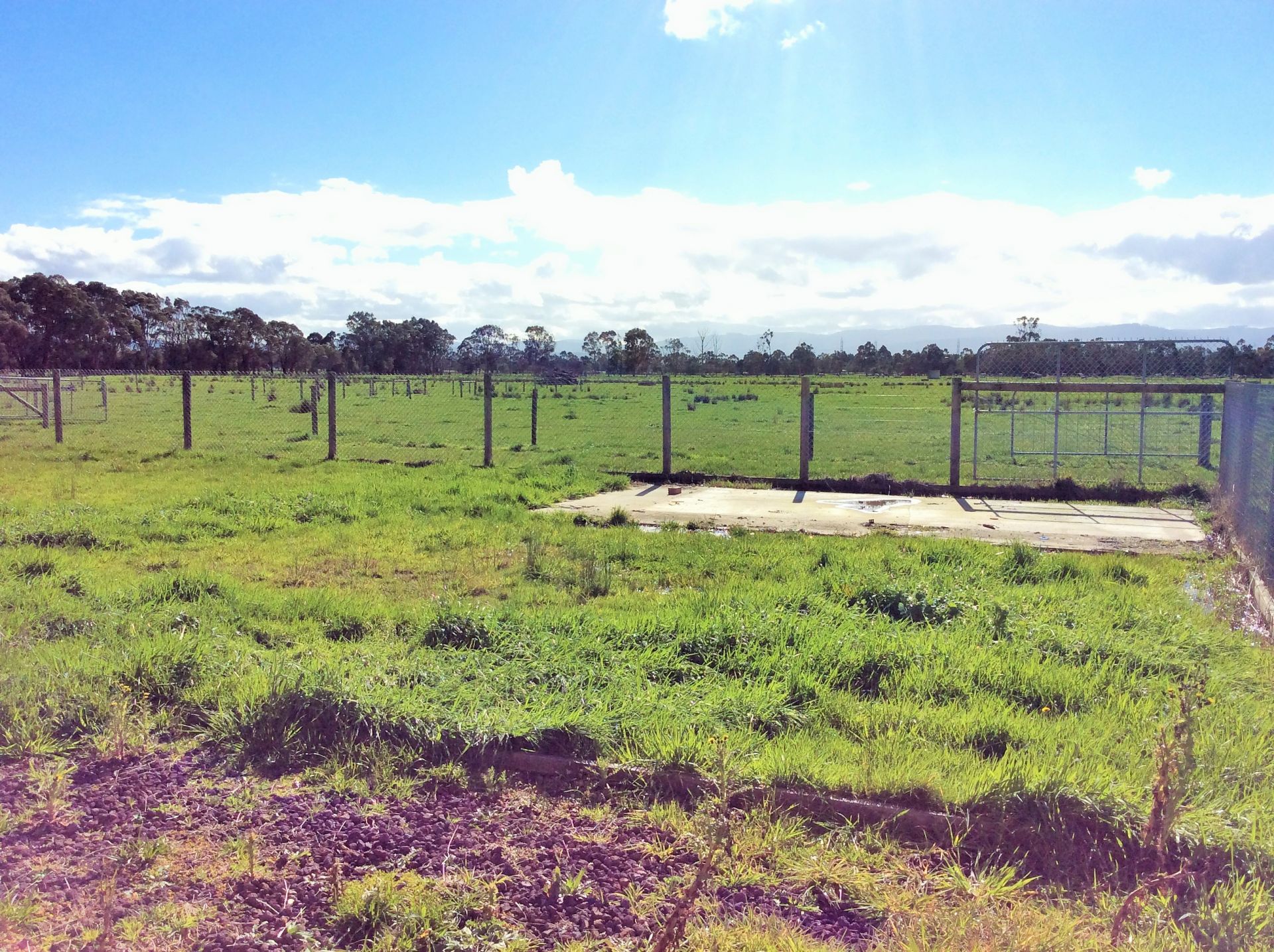 26 Johnson Street, Longwarry | Karen McCormick Real Estate