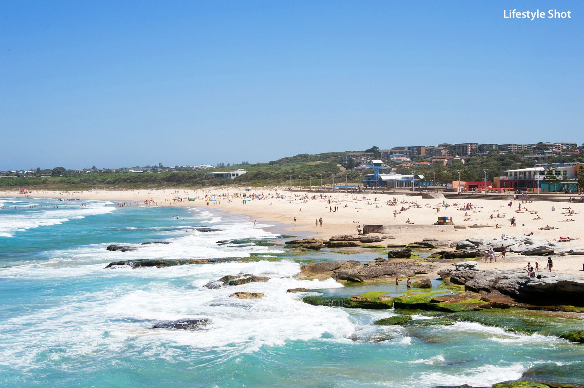 105/180 Marine Parade, Maroubra | Ellison Zulian Property