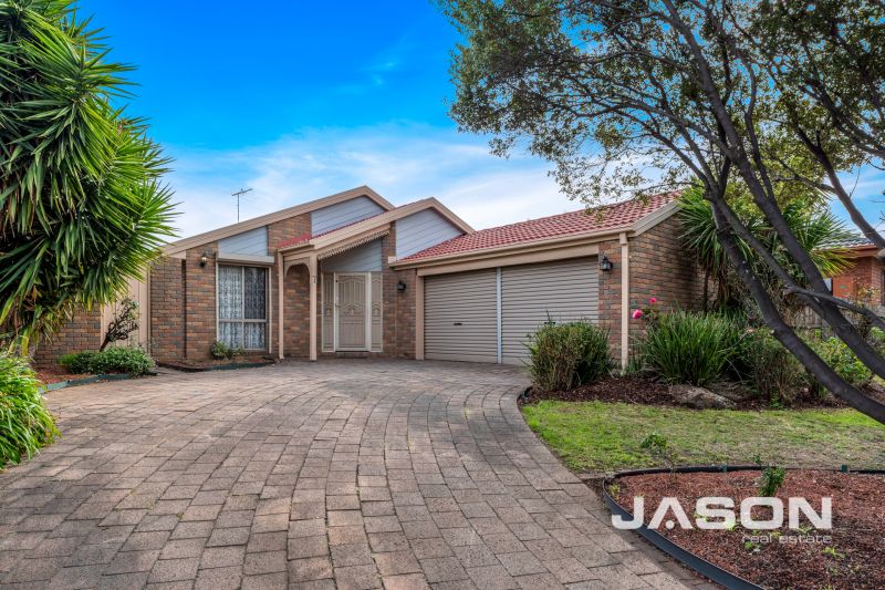 Home - Jason Real Estate