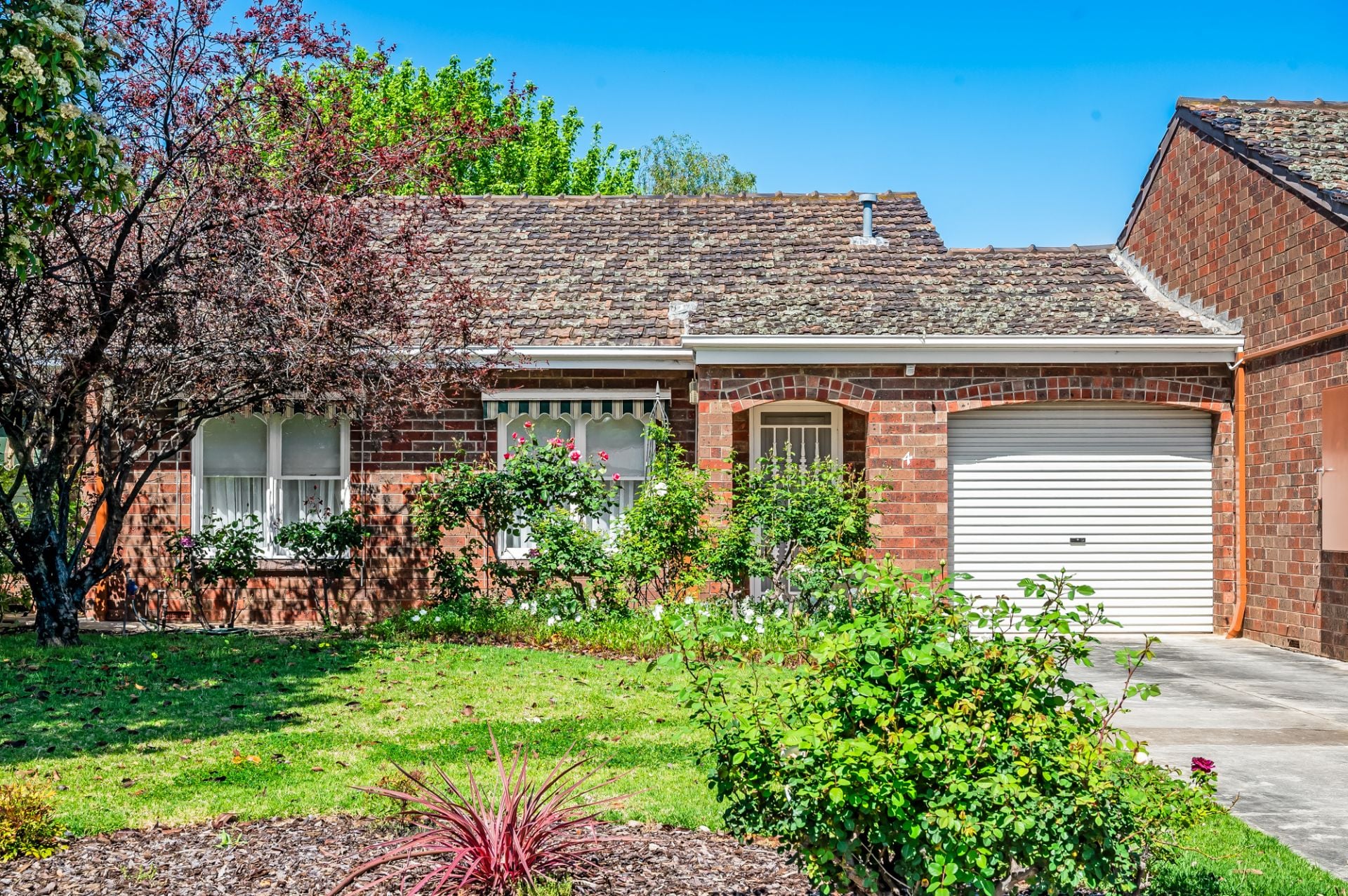 4 The Mews, Walkerville | Fox RE