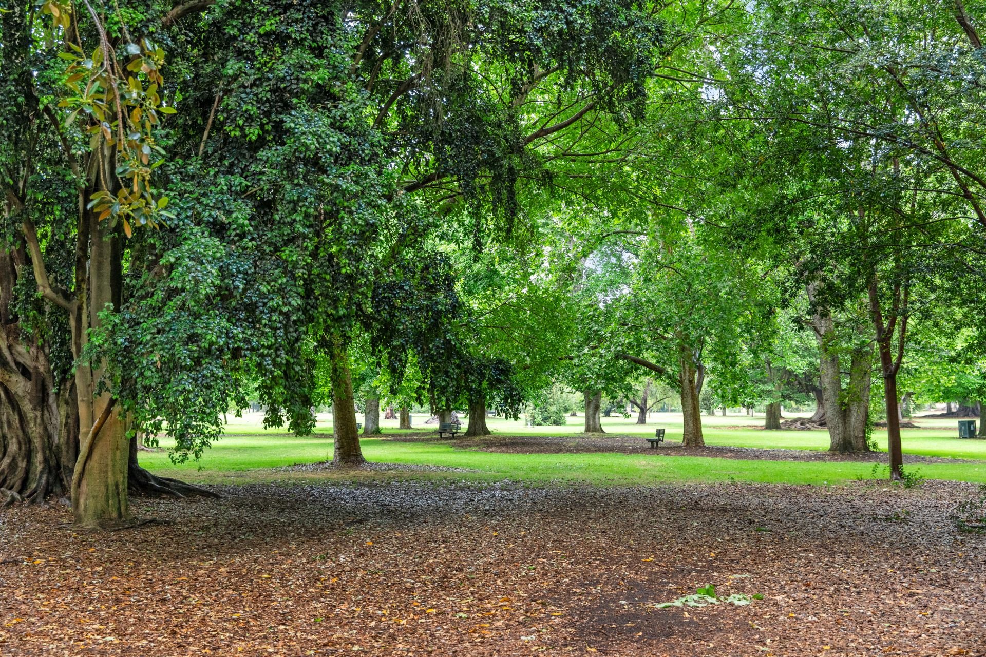 5 Cambridge Street, Hackney | Fox RE