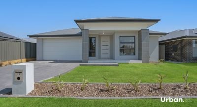 Urban Land Housing | Mitchell Olsen