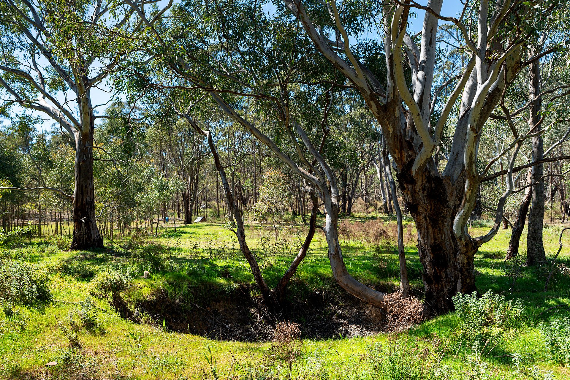 Lot 37E Mt. Camel - Graytown Road, Redcastle | Cantwell Property ...