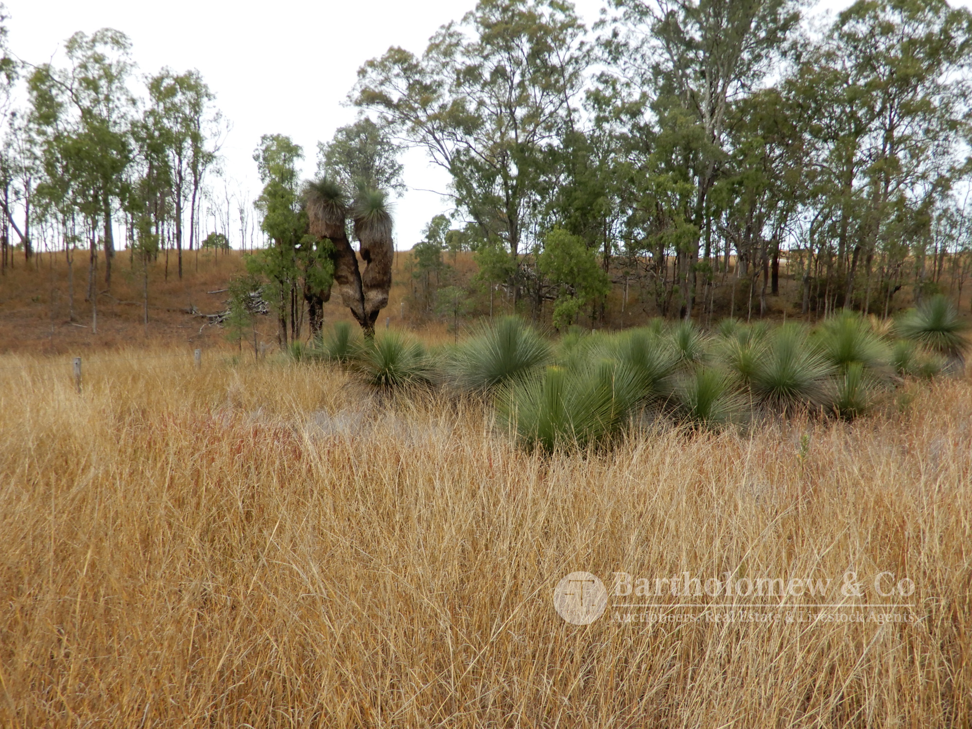 Real Estate For Sale - Lot 1 Verrall Road - Limestone Ridges , QLD