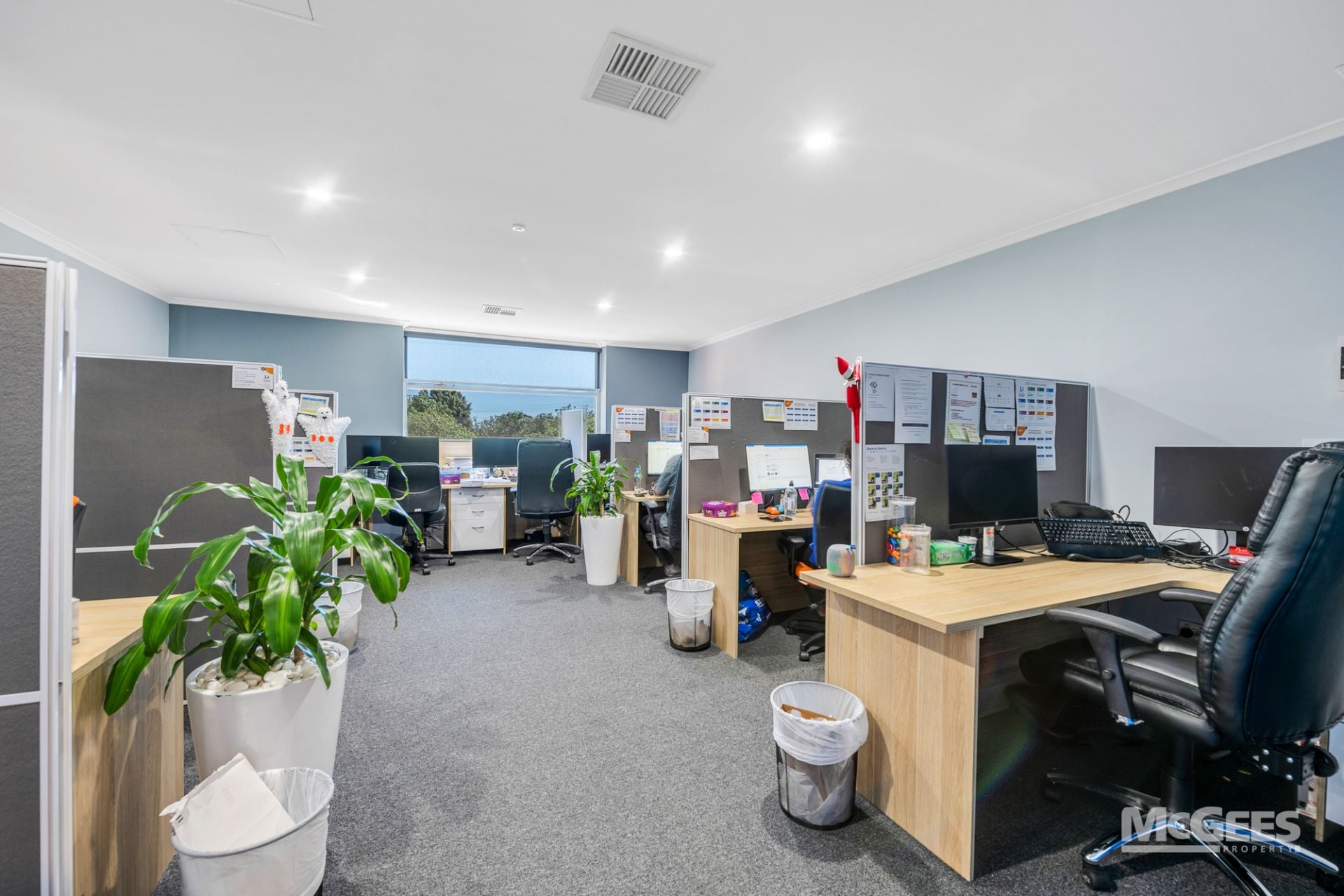 2 Arlington Terrace, Welland | McGees Property Adelaide