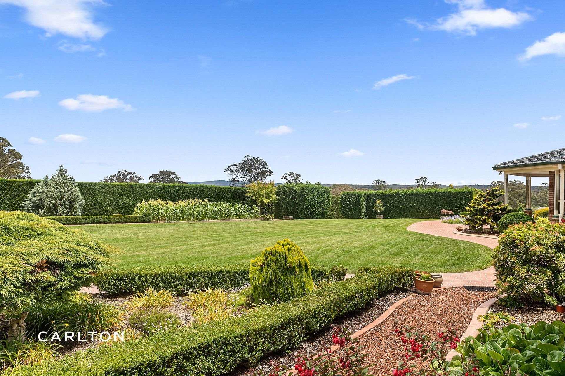 | Carlton Real Estate