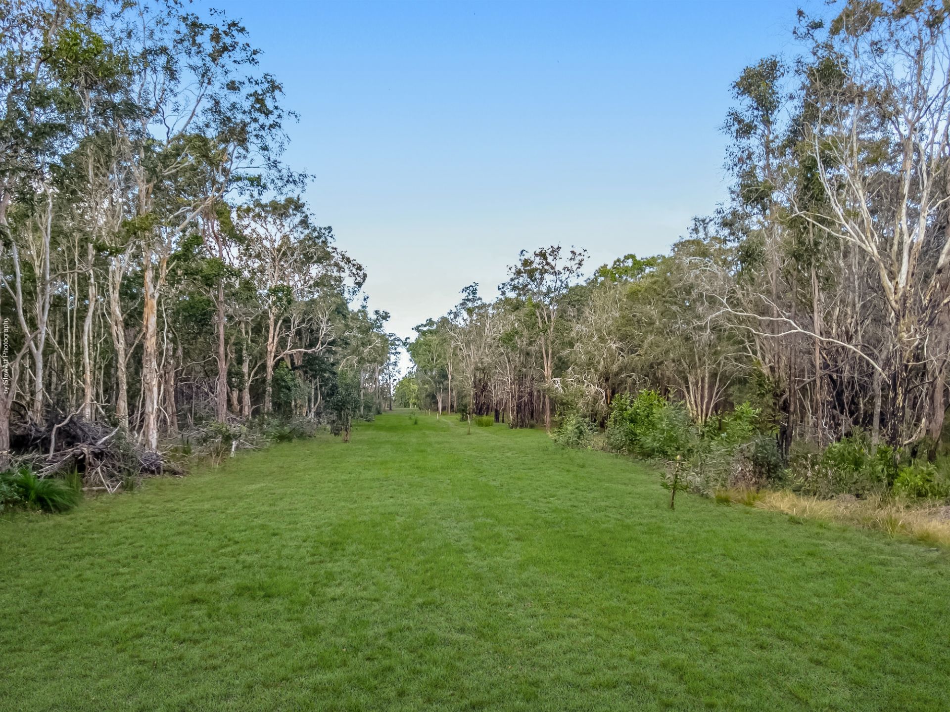 140 Condor Drive, Sunshine Acres | Mitchells Realty