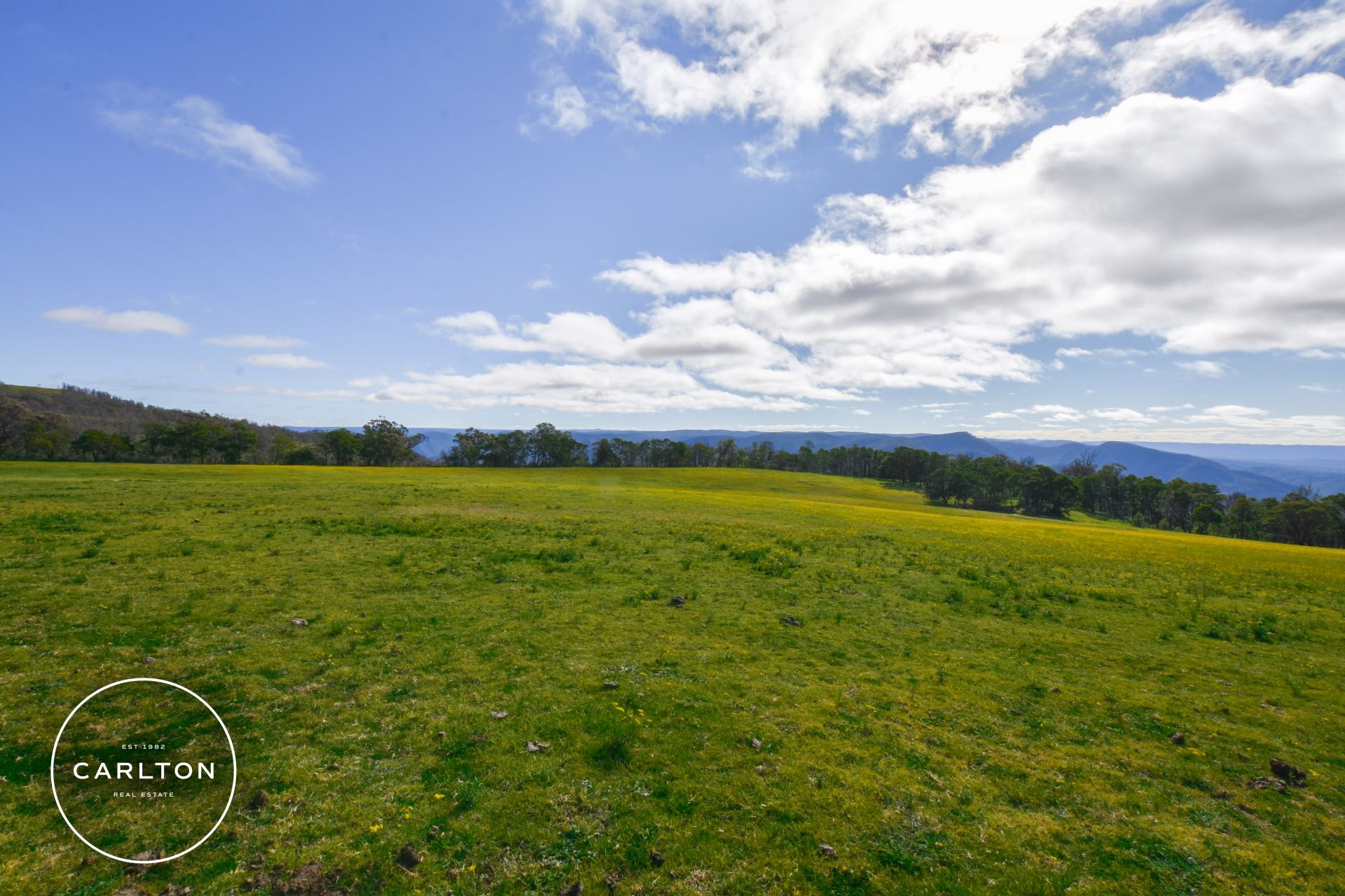 Bullio | Carlton Real Estate