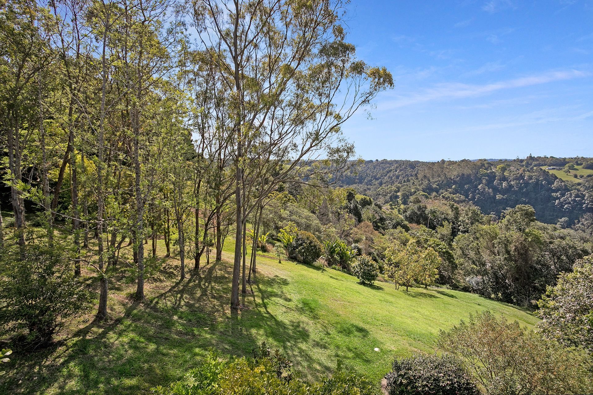 694 Maleny-Montville Road, Balmoral Ridge | Brant Property
