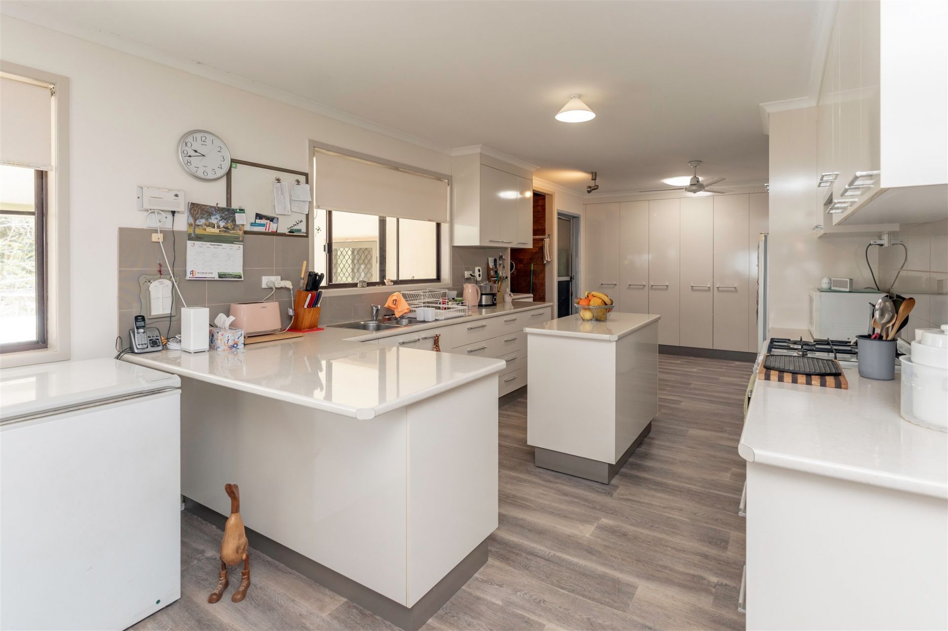113 Fig Tree Terrace, MEADOWVALE | Four Walls Realty