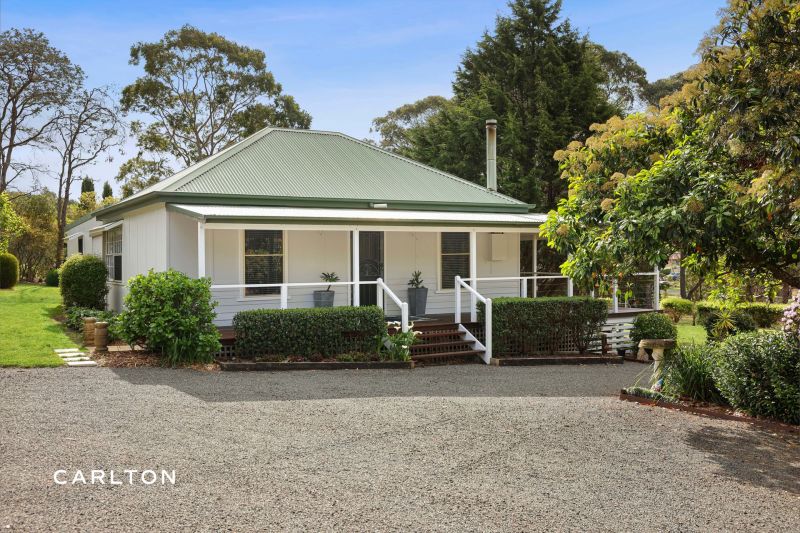 Award-Winning Real Estate Agency | Carlton Real Estate