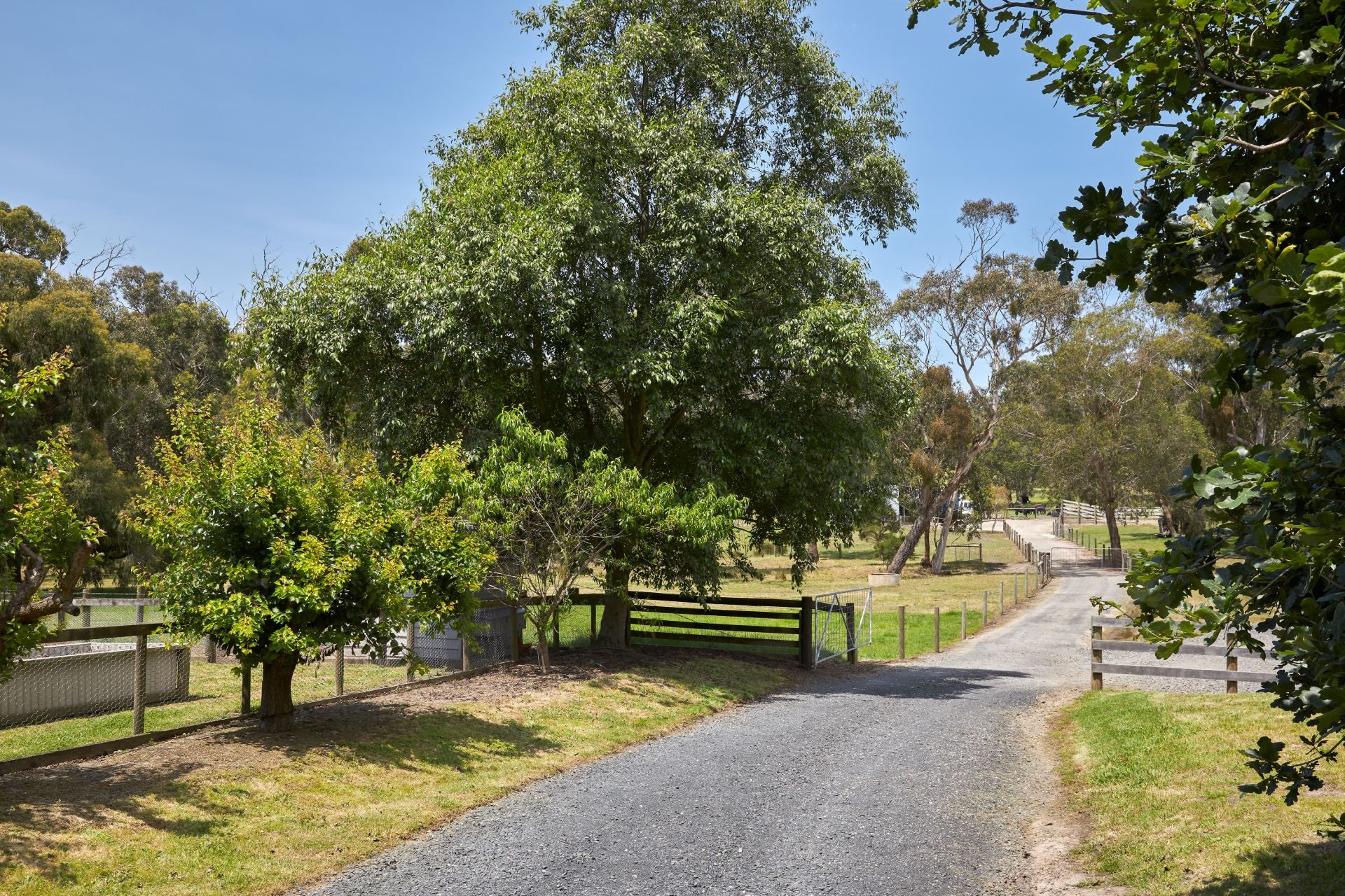 110 Phillips Road, Heath Hill | OBrien Real Estate