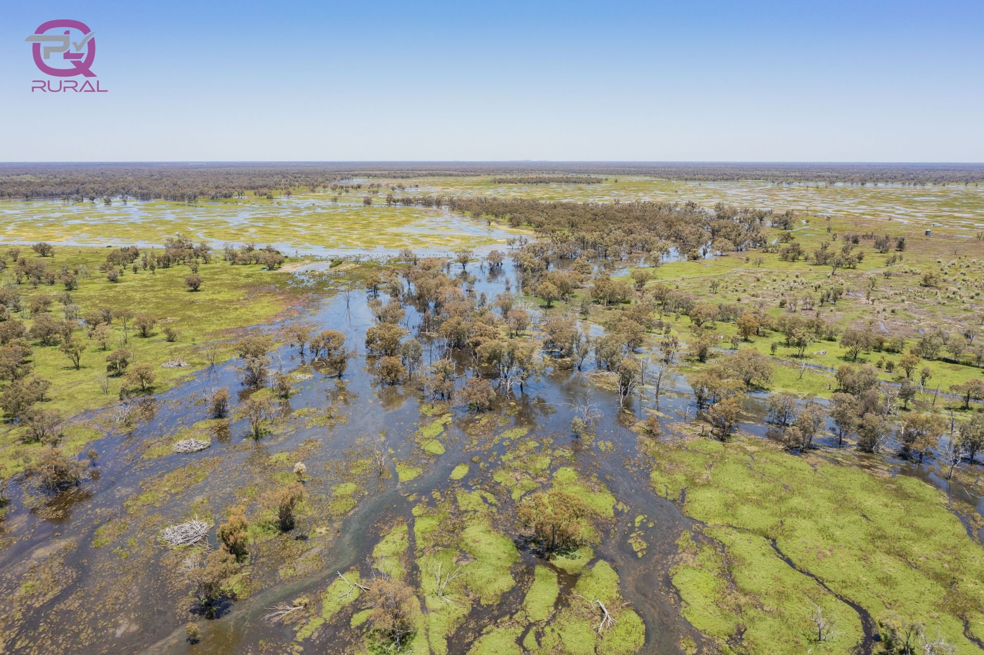 799 Sandy Camp Road, QUAMBONE | QPL Rural