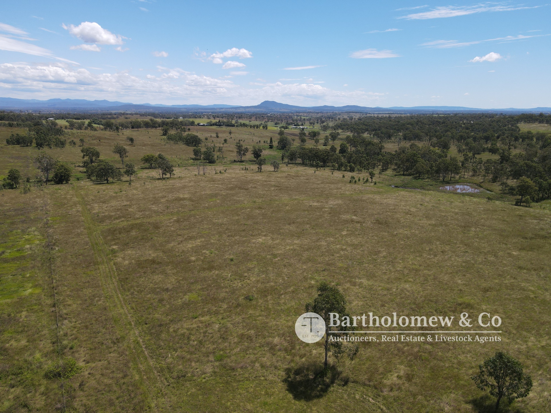 ANTHONY | Bartholomew