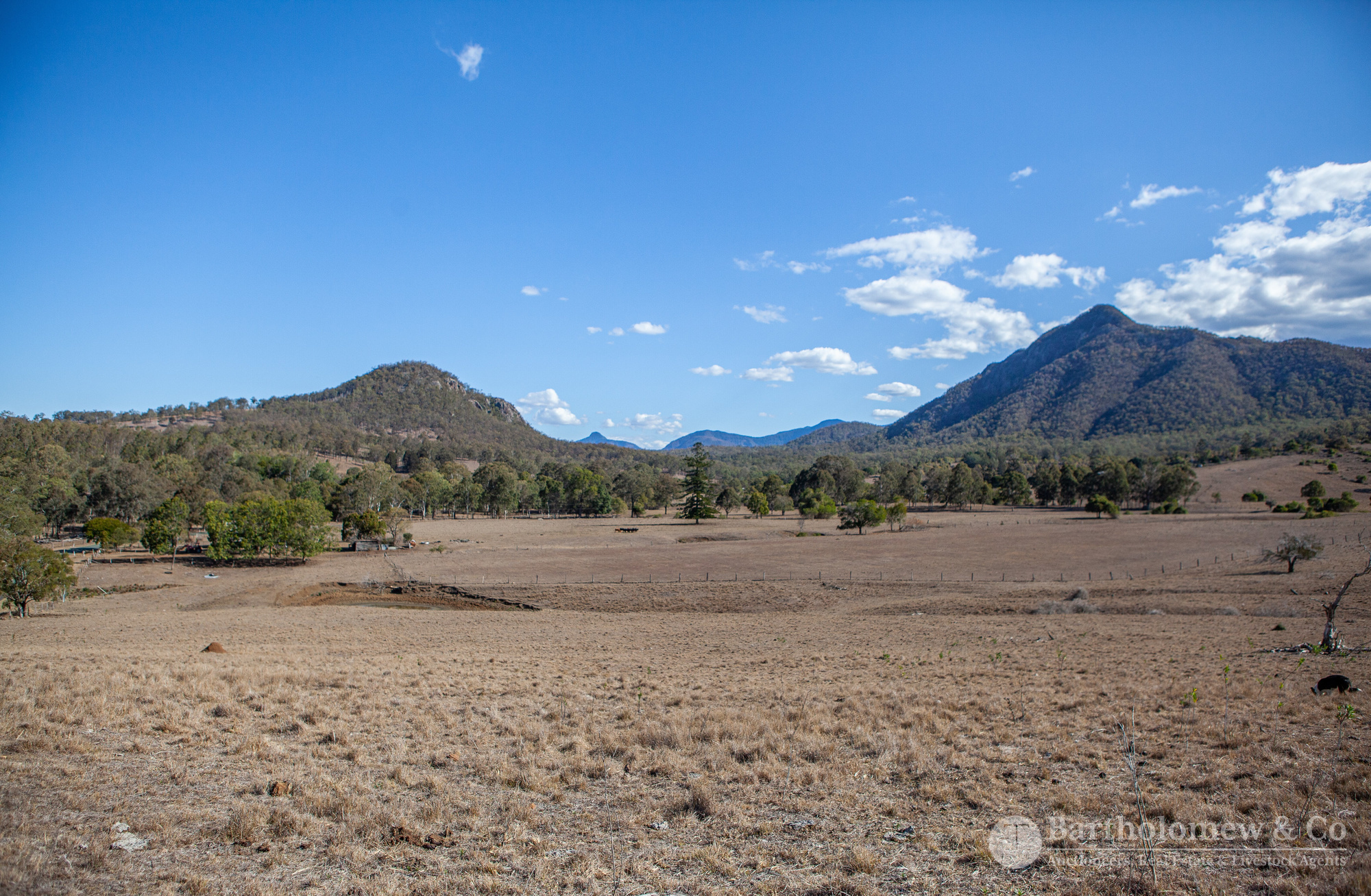 Real Estate For Sale - 342 Dwyer Ridges Road - Mount Alford , QLD