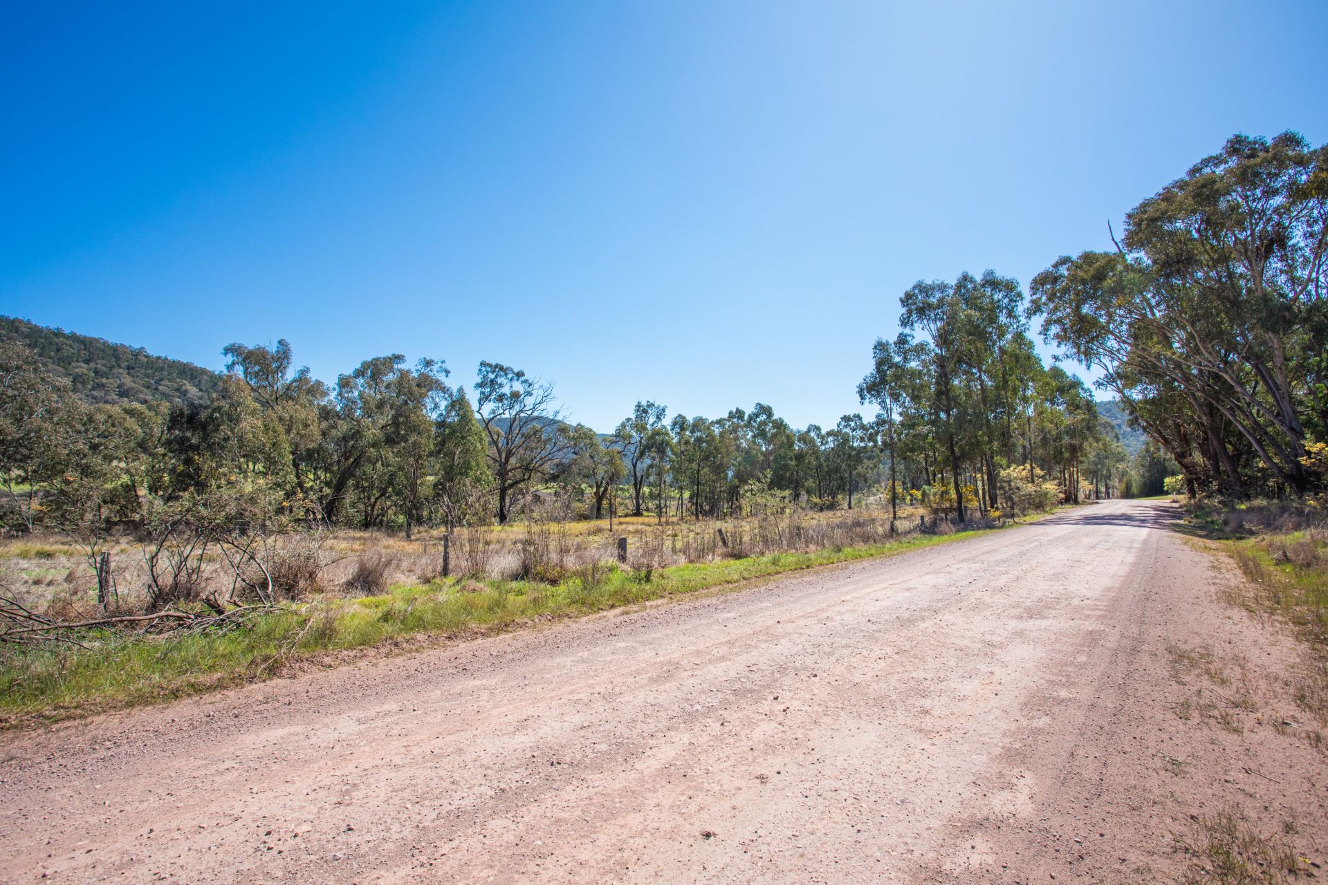 1761 Kangarooby Road, Gooloogong | Flemings Property Services