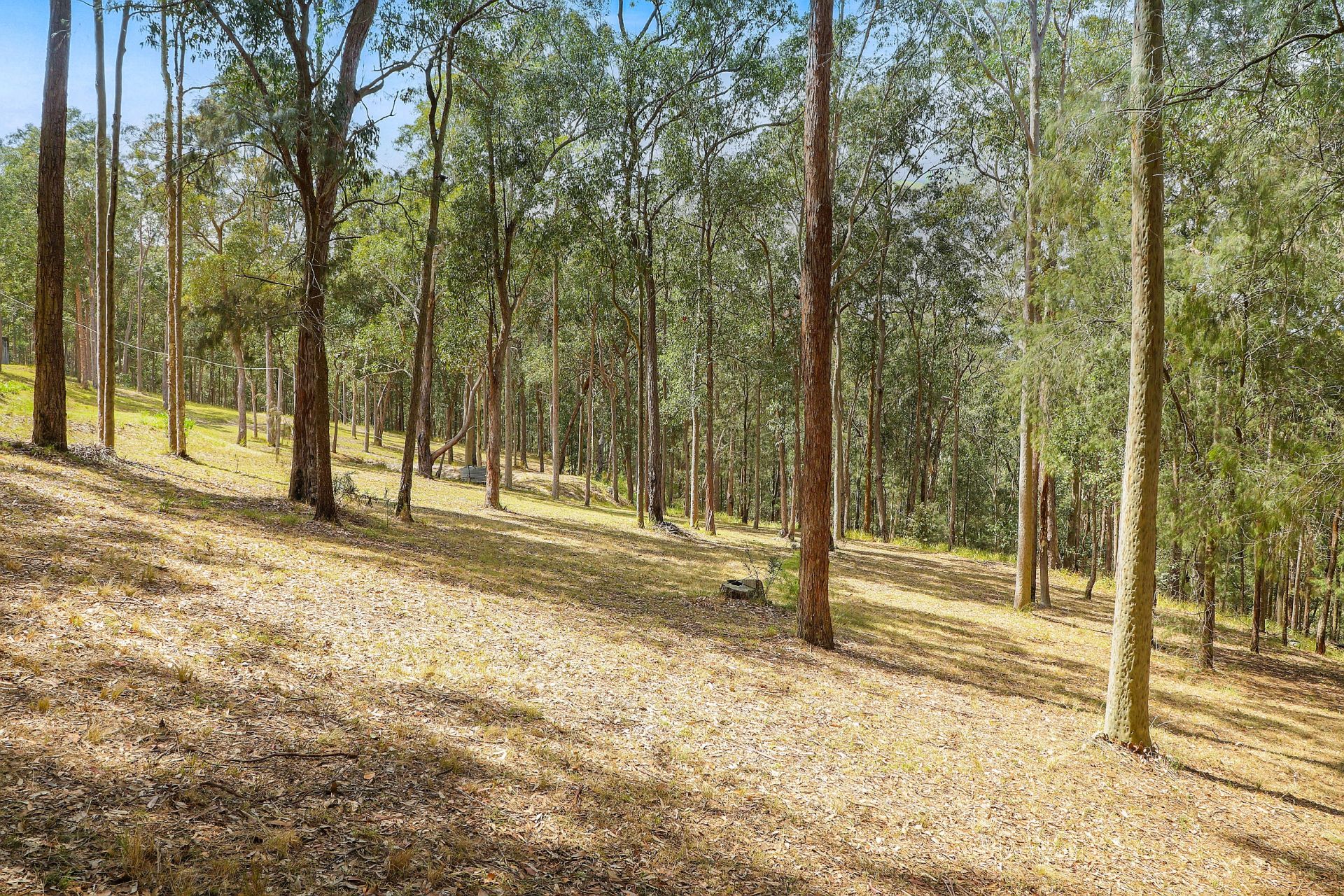 Real Estate For Sale - 10 Buangi Road - Durren Durren , NSW