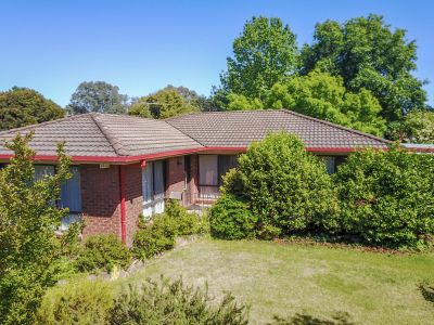 Myrtleford Real Estate & Livestock