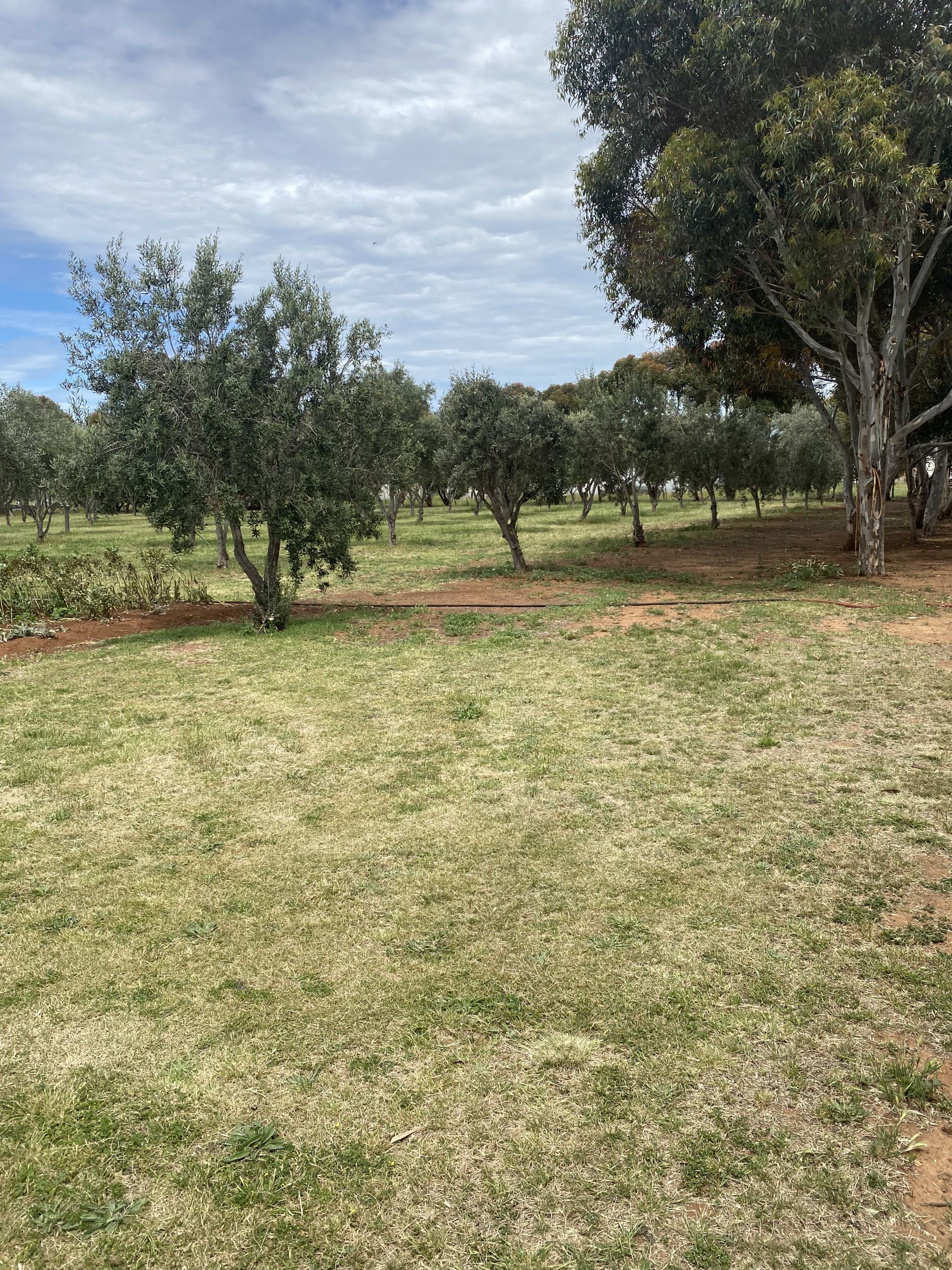 85 Gard Road, MOUNT COTTRELL | Sweeney Estate Agents