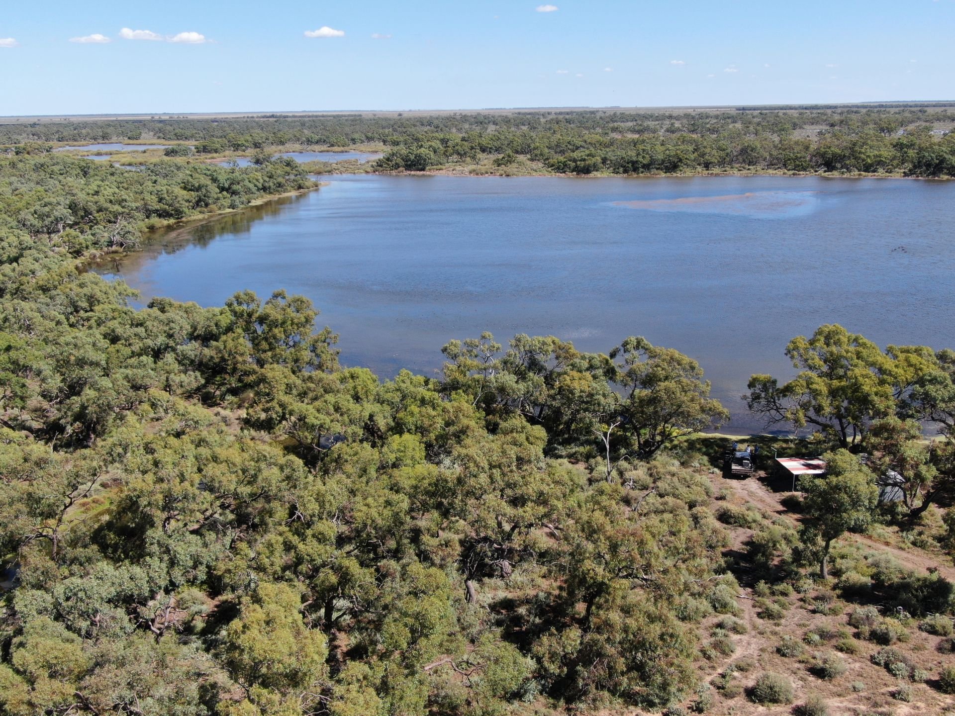 Alma Road, Booligal | Inglis Rural Property