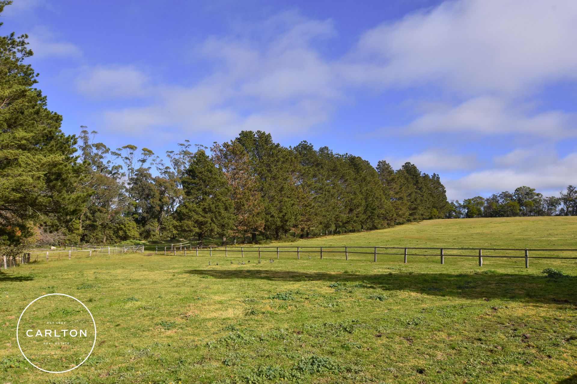 Bullio | Carlton Real Estate