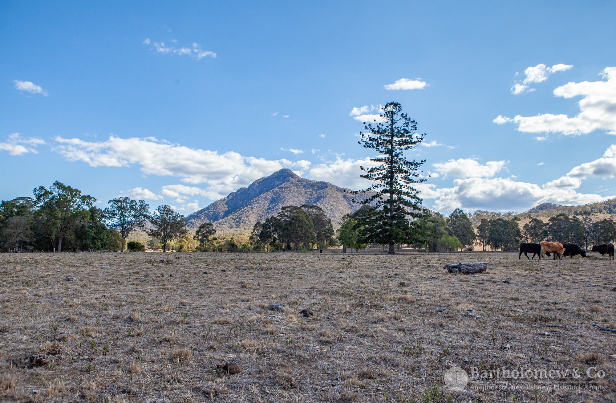 Real Estate For Sale - 342 Dwyer Ridges Road - Mount Alford , QLD