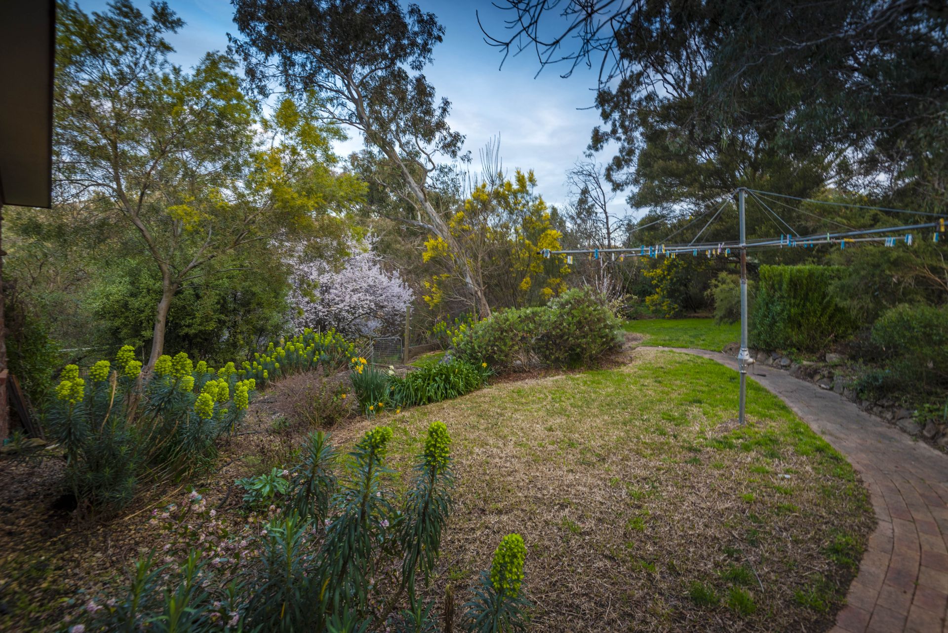 27 Dane Street, Queanbeyan | White Rhino Property