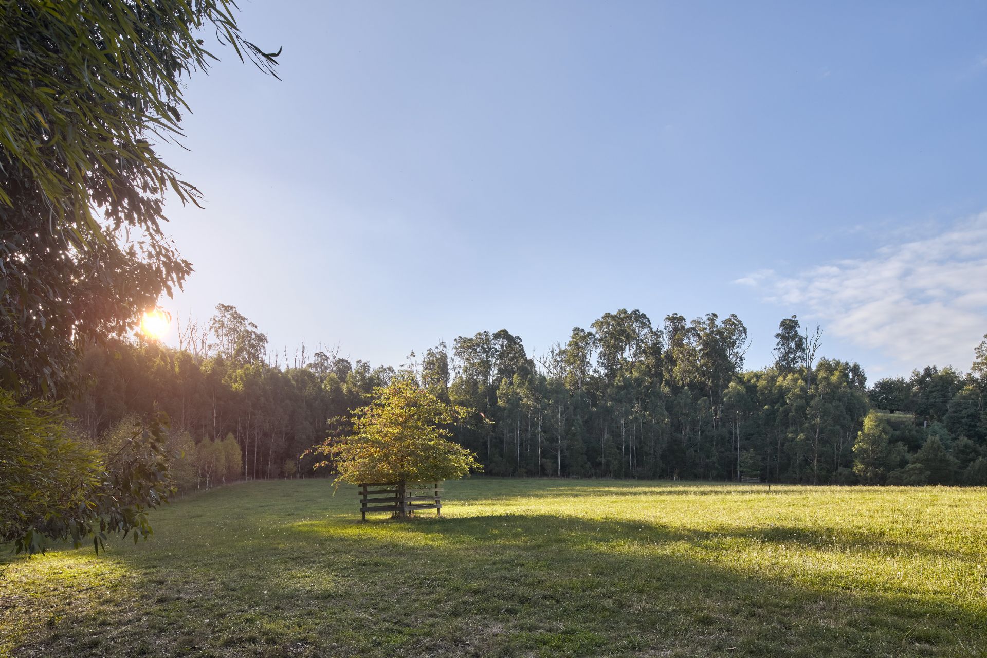 875 Main Neerim Road, Drouin West | OBrien Real Estate