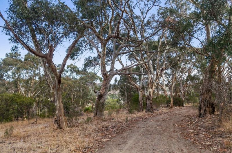 Lot 50 No Water Reserve Road, Lower Inman Valley | South Coast Realty